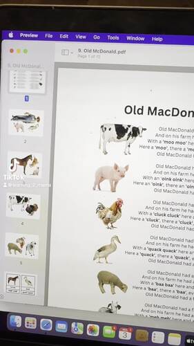 Old MacDonald Had A Farm Props Nursery Rhymes Montessori Flash Card ...