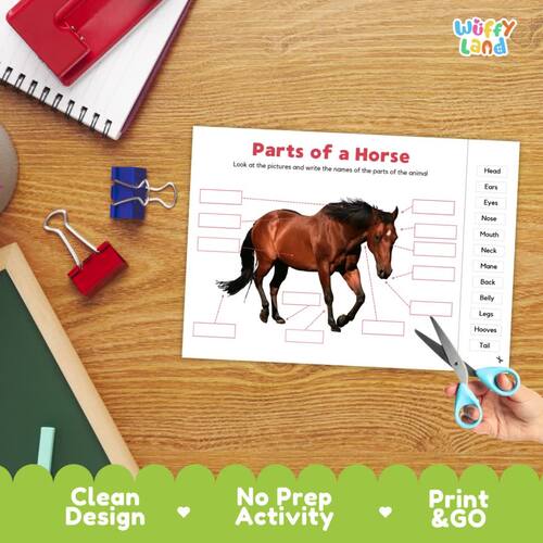 Parts of a Horse Anatomy Poster | Farm Animal Labeling Activity ...