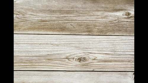 Ocean Animal Shape Sort- Preschool, Kindergarten, Special Education