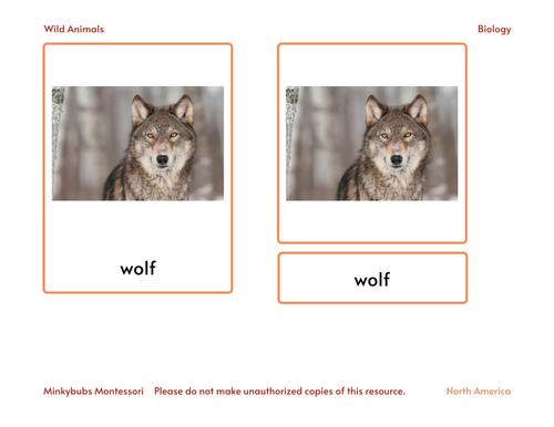 Wild Animals 3 Part Cards Montessori Matching Task Memory Vocabulary