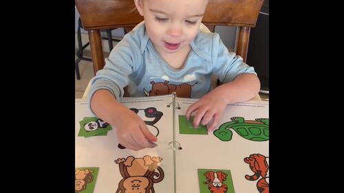 Animal Activity book by Fresh Ideas Early Learners | TPT