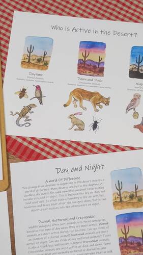 Desert Ecosystem mini study: Adaptations! Nocturnal, diurnal ...