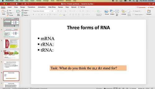 IB Biology D1.2: Protein synthesis (first exams in 2025) | TPT