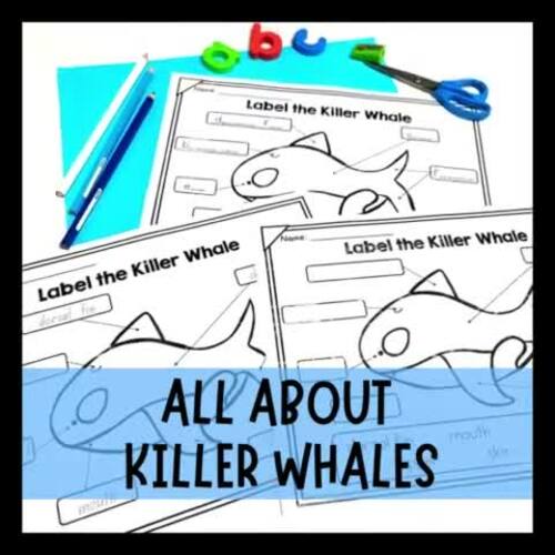 Killer Whale Orca Informative Writing | Antarctic Animal Science