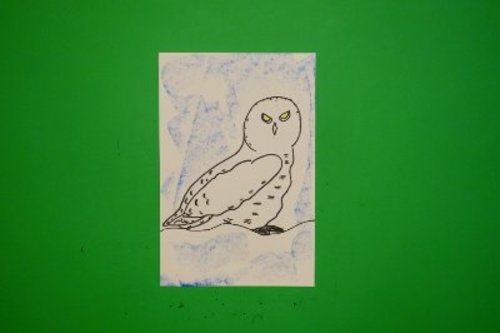 how to draw a tundra owl