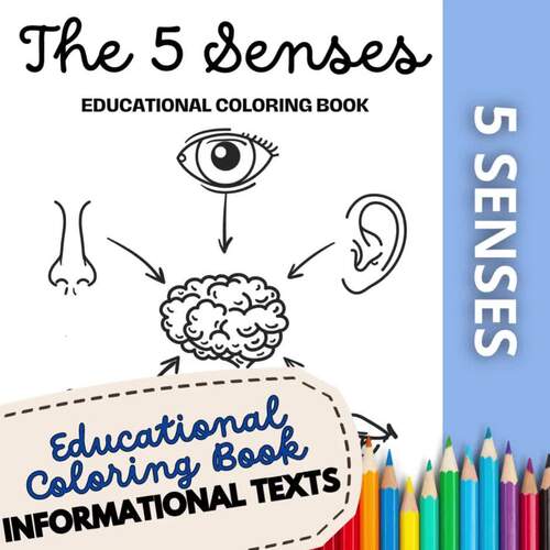 Five Senses Worksheet – Informational Texts & Questions | Grades 2–4