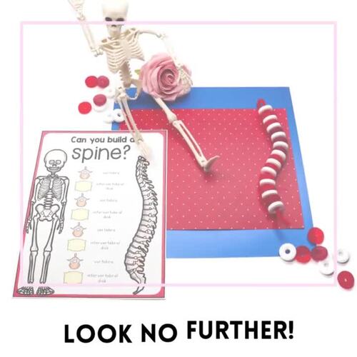 Human Body Science Activities - My Body Preschool Science About Me Centers