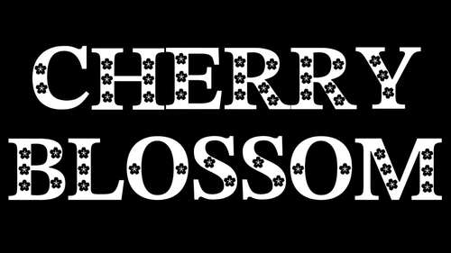 Font Bundle: Volume 5 (Commercial Use Allowed) by Resources by Roberts