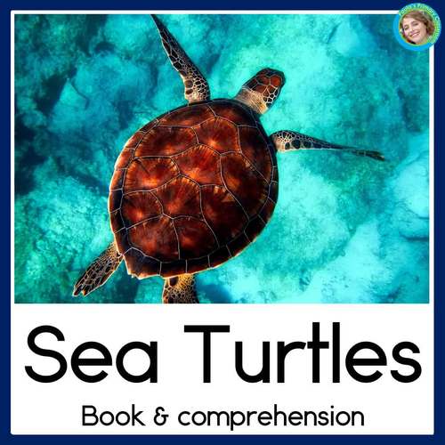Sea Turtles Reading Comprehension Passages | Differentiated Science Readers