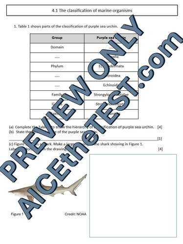 Classification and biodiversity Review/ Practice Q's AICE Marine Science