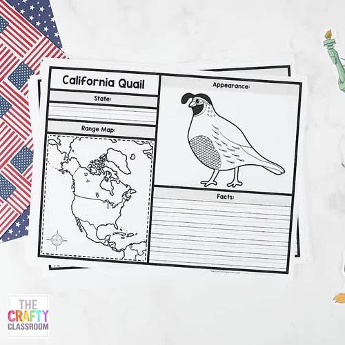 U.S.A. Activity Bundle: 50 State Teaching Resources by Preschool Mom