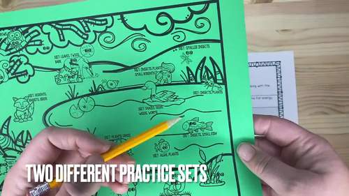 Ecosystem Energy Roles Activity Task Cards | Producer, Consumer, Decomposer