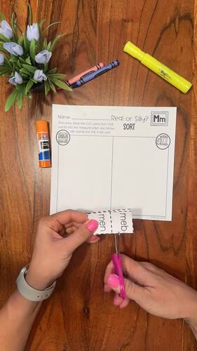 CVC Nonsense Word Sorts | CVCE + Blend Words Worksheets | Phonics Sorts