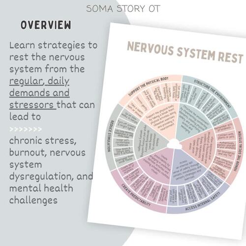 Nervous System Rest Wheel: Trauma Informed Nervous System Regulation Tool