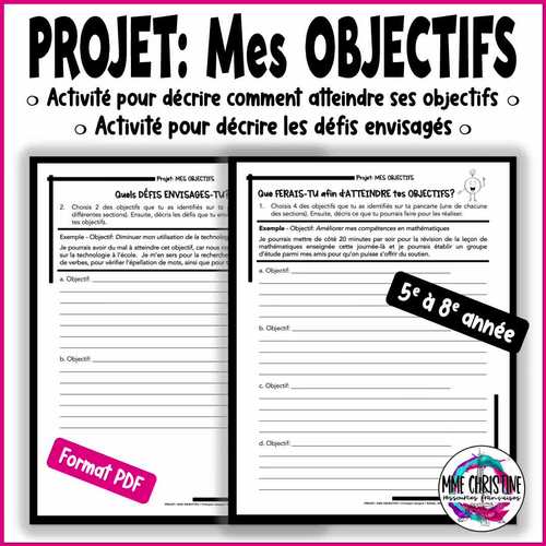 Mes objectifs I Projet sur pancarte I French Goals Poster Project