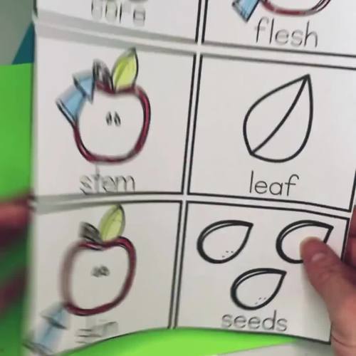 Apple Activities Interactive Readers Fall Vocabulary Readers Kindergarten