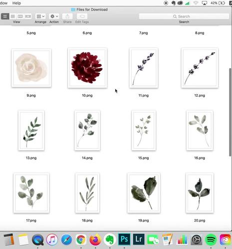 Watercolor flowers clipart, navy blue deep red flowers, fall floral ...