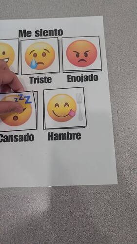 Spanish Feelings Chart and Emotions Identify Match in Espanol | Happy ...