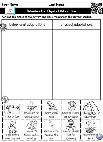 Behavioral or Physical Adaptations Sort by ELL Connections | TPT