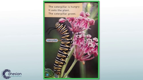 Use Illustrations and Details in a Text to Describe Key Ideas | TPT