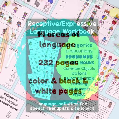 Receptive Expressive Language Workbook Speech Therapy Activities