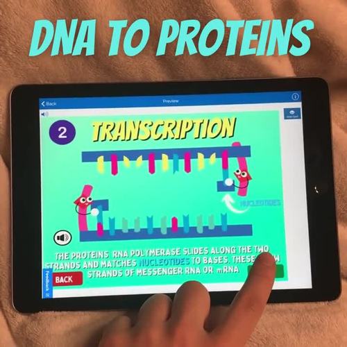 DNA and RNA Presentation - Steps of Protein Synthesis Lesson - Sub ...