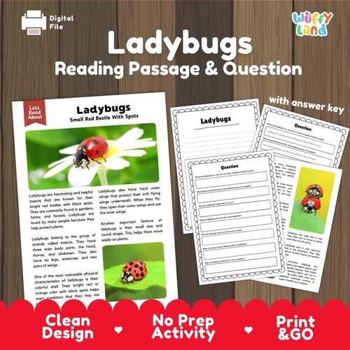 Ladybugs Reading Passage | Nonfiction Comprehension Questions | Science ...