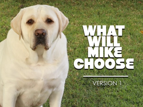 Interactive Video, Quiz Game - What will Mike Choose, Version 1 by ...