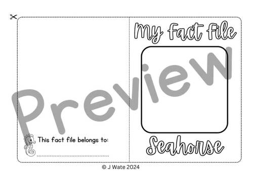Fact File Seahorse Worksheet Research PROJECT Booklet | Ocean Activities