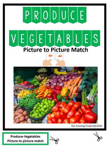 Sp. Ed./Autism Grocery store 15 matching file fold. 180 YES/NO cards ...