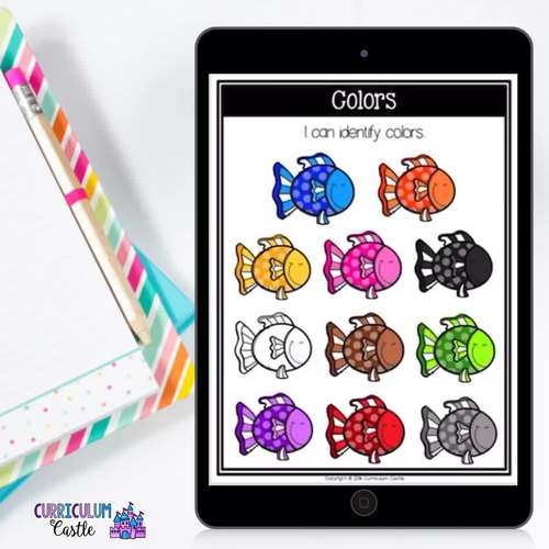 Pre-K & Kindergarten Basic Skills Assessment by Curriculum Castle