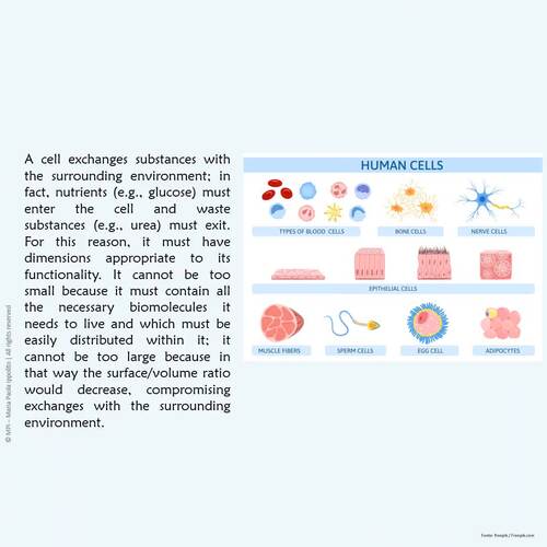 The Cell Visual Study Guide: AP Biology & Medical Entrance Exams