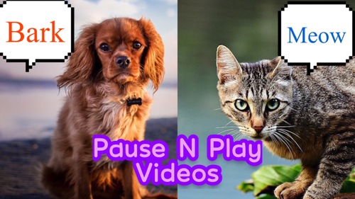 Animal sound preview by Play N Pause videos | TPT