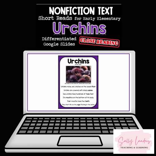 URCHINS Nonfiction CLOSE READING Print & Digital Pack by Sally Landers