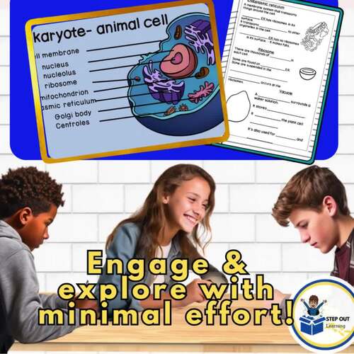 Cell structure, organelles - prokaryotes vs eukaryotes - plant & animal ...