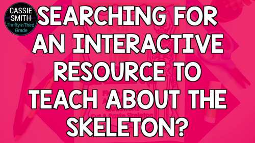 Skeletal System Activities - Cut and Paste Skeleton Craft - Skeleton ...