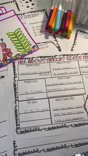 All About Hermit Crabs Non Fiction Animal Report by The Teaching Diva ...