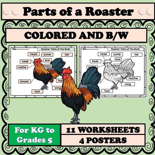 Roaster Labeling Body Parts Worksheet Writing Graphic Organizers Farm ...