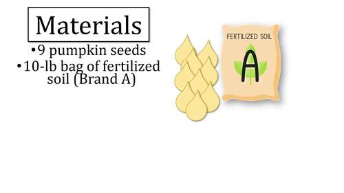 Virtual Science Experiment Organic Fertilizer (PowerPoint & Slides ...