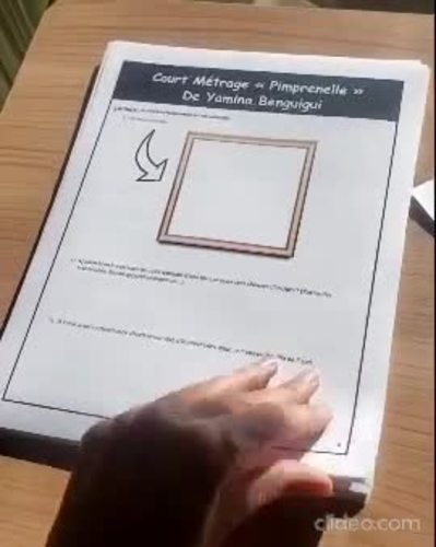 FRENCH Unit on Global Challenges Défis Mondiaux Social Justice ...