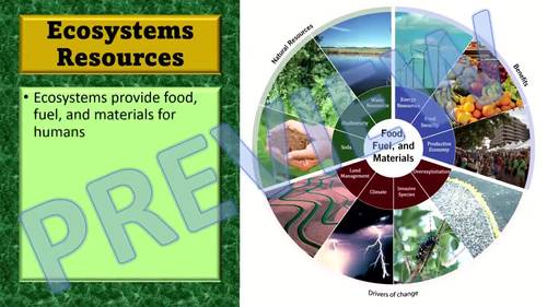 AP Environmental Science Ecosystem Services Complete Lesson Plan BUNDLE