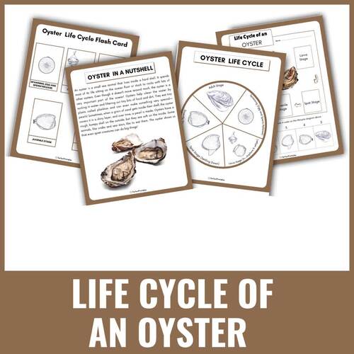 Oyster Life Cycle Worksheet | Seafood/Ocean Animals Unit Study With Fun ...