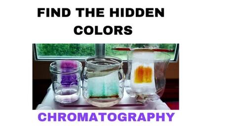 Chemistry Paper Chromatography Lab High School Science by The Lesson Pony