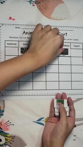 Animal Kingdom Sort Activities & Sorting Worksheets - Animal ...