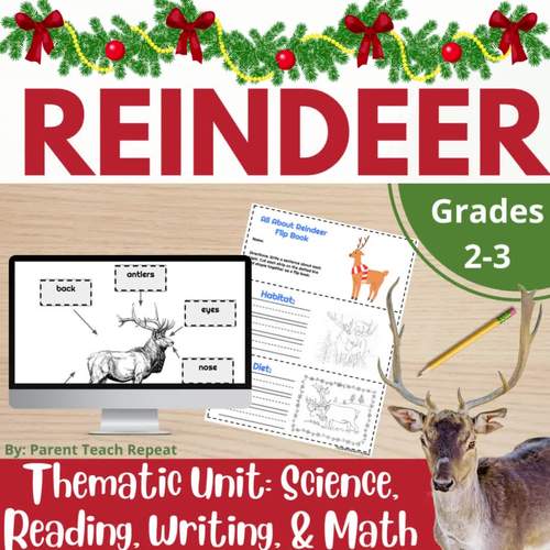 Reindeer Activities | Math Science Reading Writing | Christmas Holiday ...