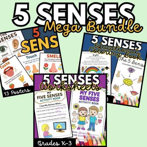 Five Senses Mega Bundle | Posters, Worksheets, Coloring & Graphic ...