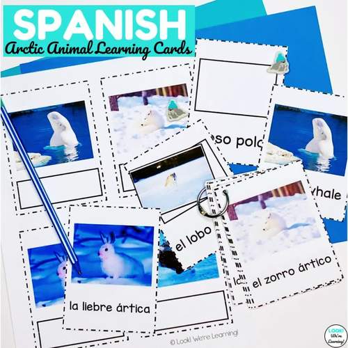 Spanish Animal Vocabulary Cards - Arctic Animals! by Look We're Learning