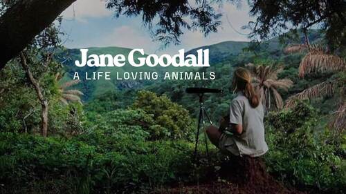 Jane Goodall. Biography. Timeline. Life. PPTx. Presentation. Environment.