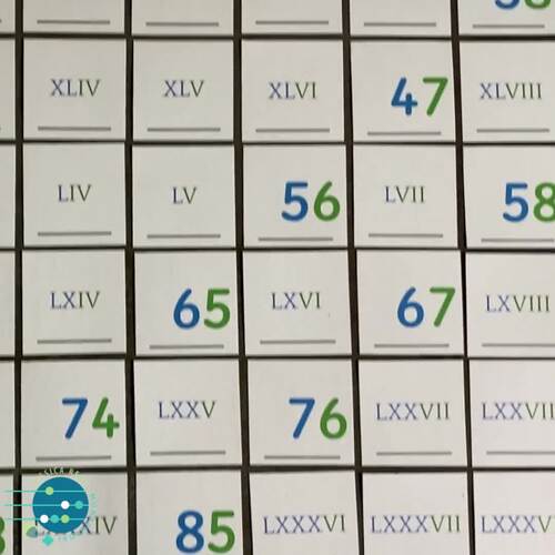 Roman Numerals Large Hundred Chart, Montessori Math, Ordering Numbers ...