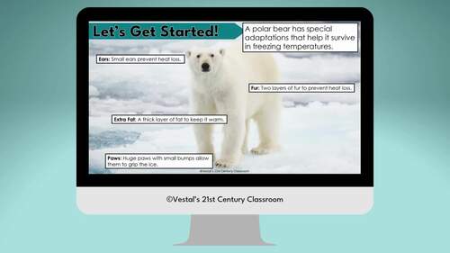 Animal Adaptations Slideshow - PowerPoint and Google Slides (VA Science ...